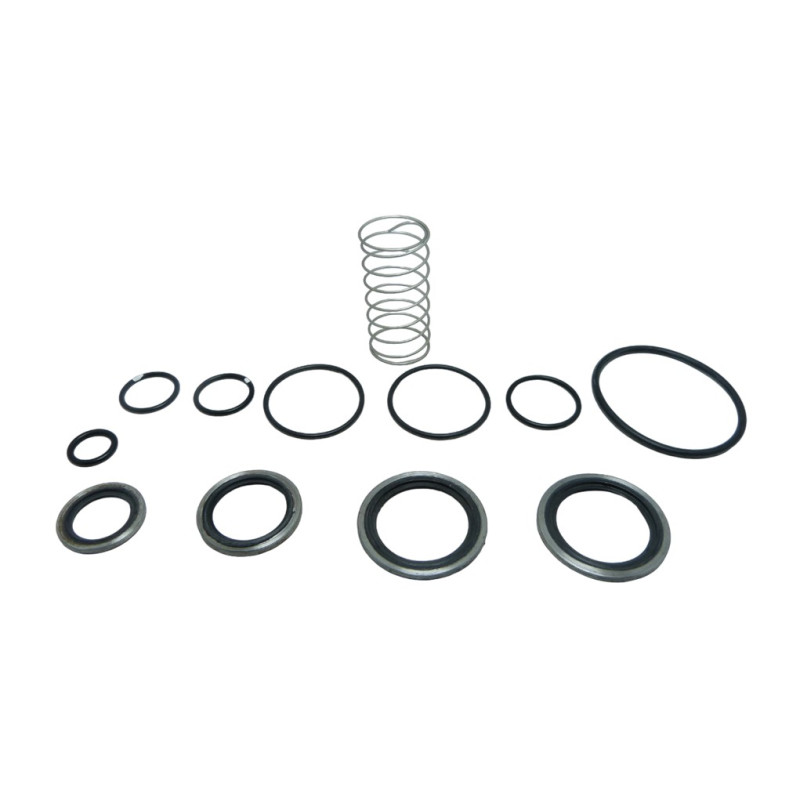 Kit Válvula Retenção Óleo S14 / Compatível Ga30 Ga37 Ga45 Ga30W Ga37W Ga45W